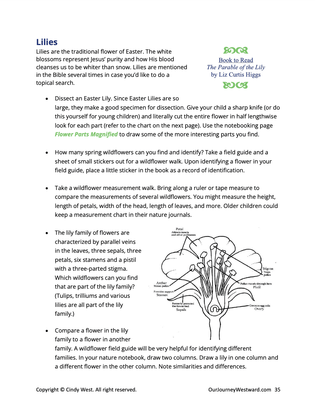 Easter Nature Study Curriculum: Creative, Biblical Lessons