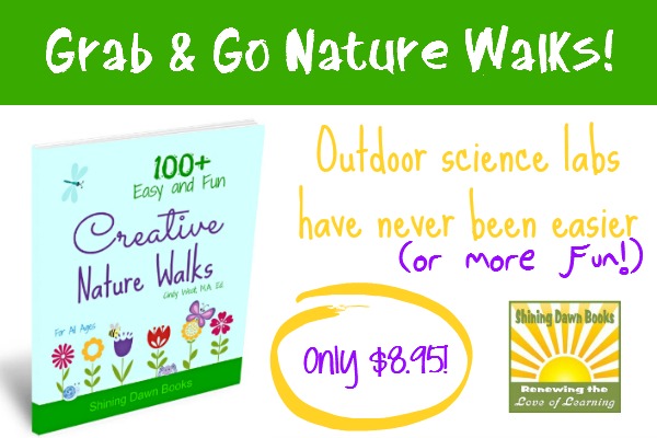 Nature Study During Morning Time - Our Journey Westward