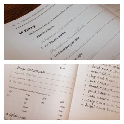 10 Reasons I Love The Logic of English - Our Journey Westward