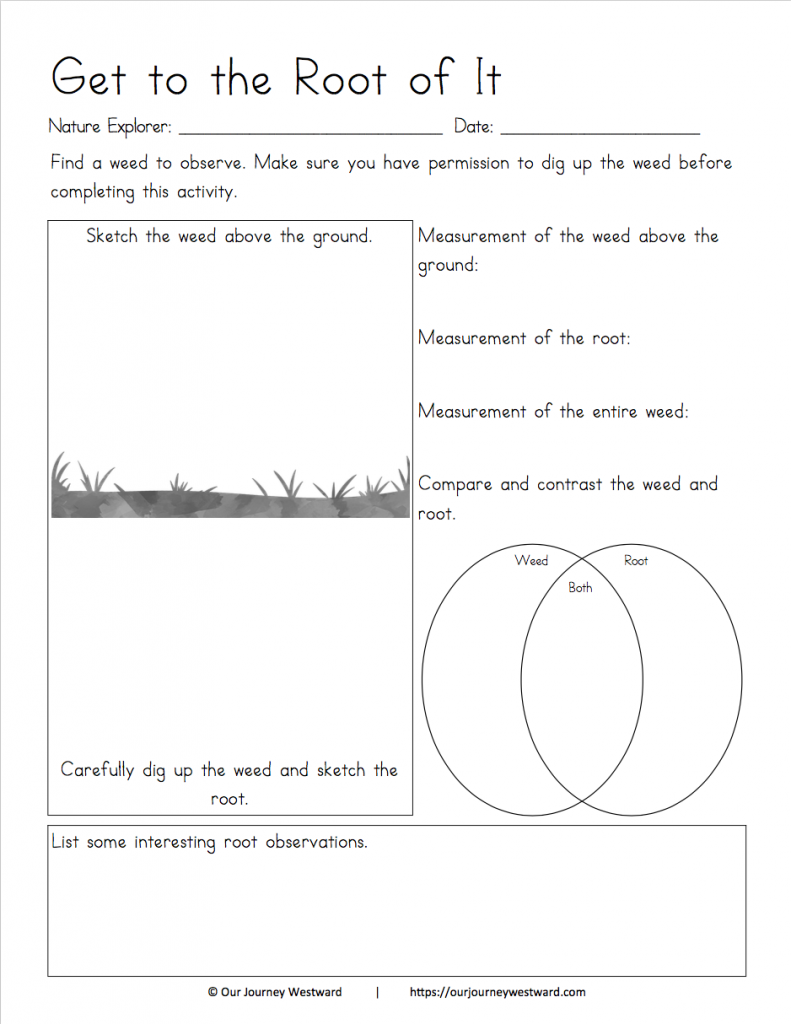 Printable Nature Study: Easy Outdoor Science Labs