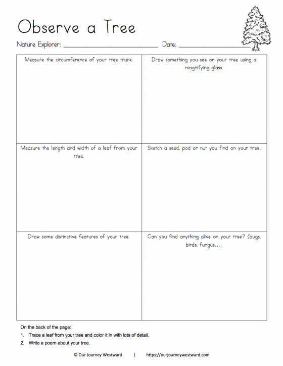 Printable Nature Study: Easy Outdoor Science Labs