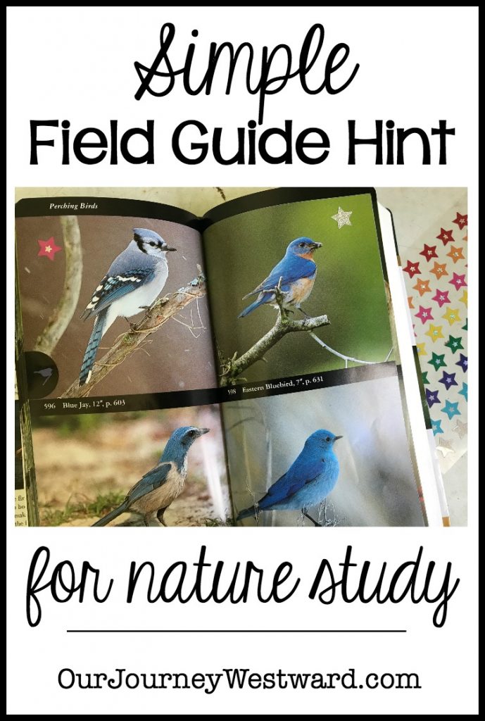 Simple Field Guide Hint That Works for All Ages (And It's Fun!)
