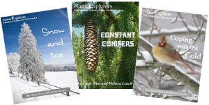 Free Nature in Your Notebook Winter Printables for Nature Study