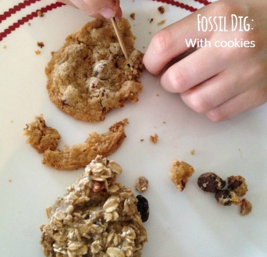 More Than Just a Dinosaur Unit Study - Our Journey Westward