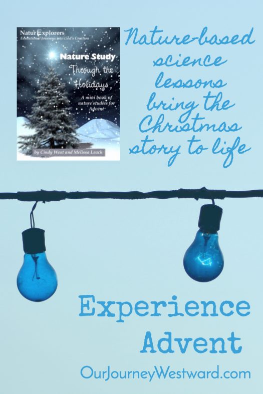 Advent: Nature Study Through the Holidays - Our Journey Westward